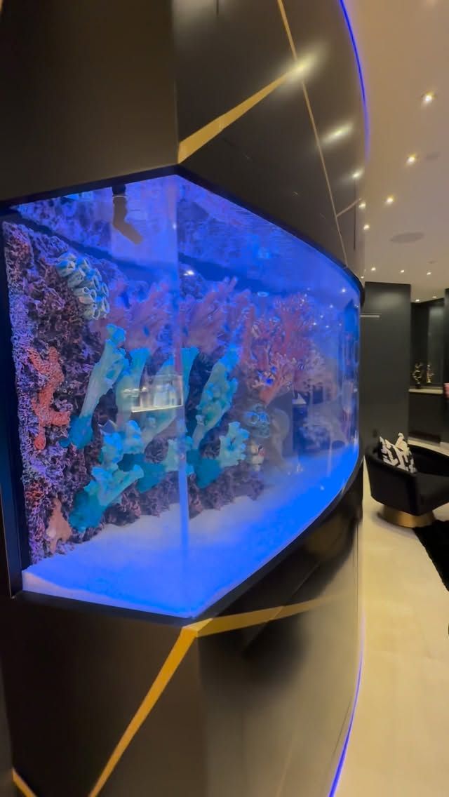 Large Wall Aquarium Tank